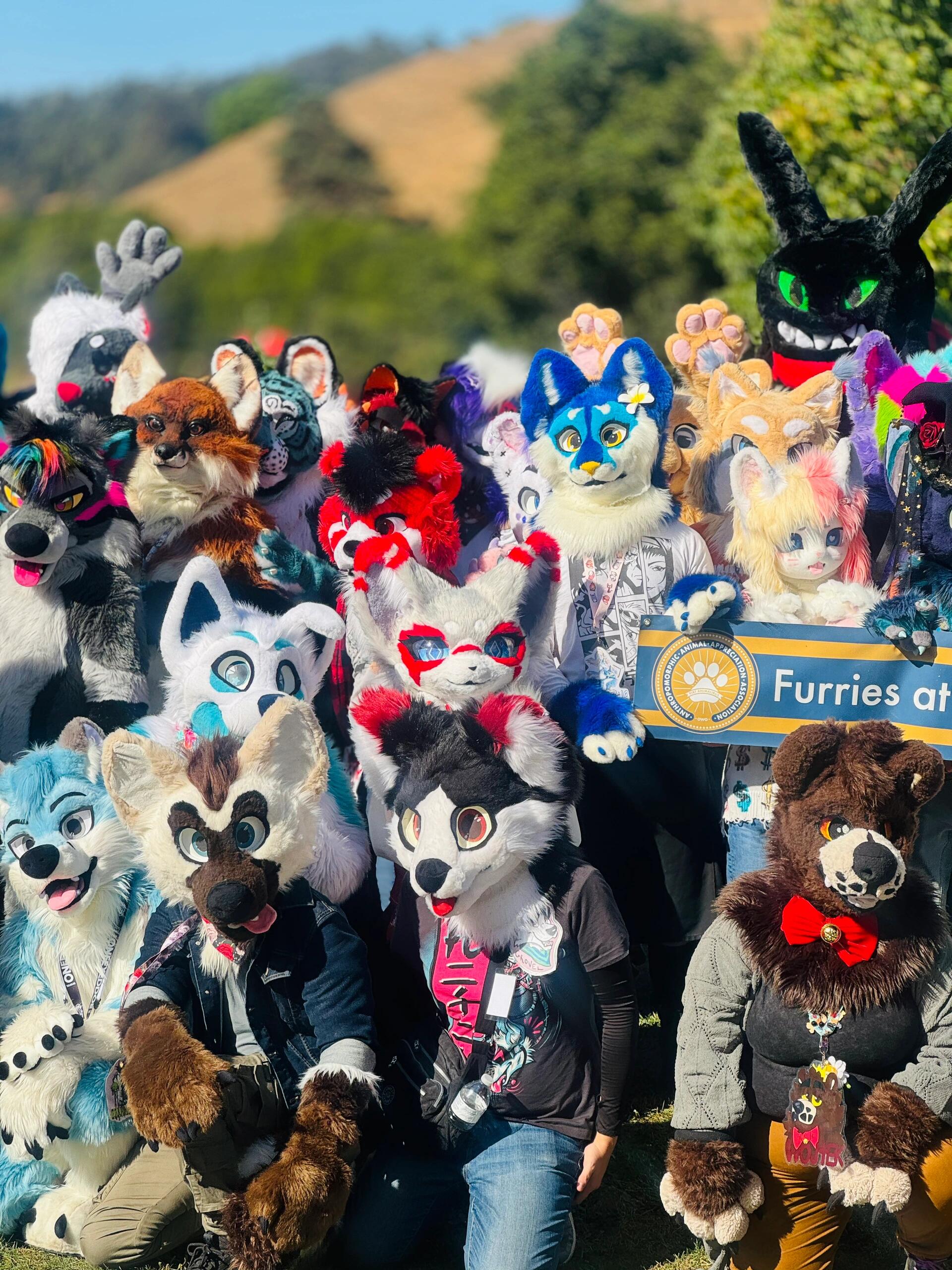 Unleash Your Fursona: Custom Merch & Can’t-Miss Furry Cons for Spring ...