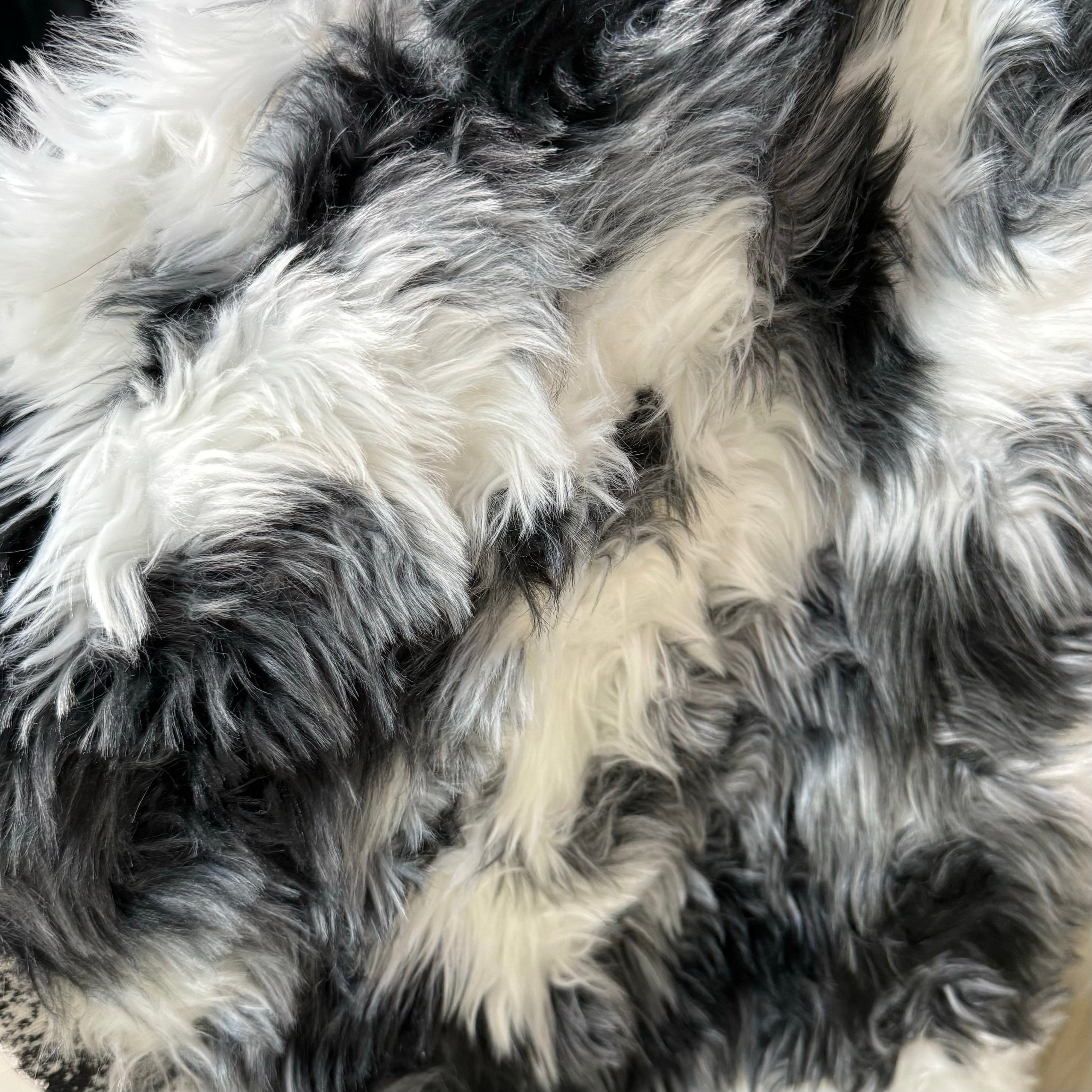 2CM Extra Thick Faux Rex Rabbit Fur Fabric – Meow Fursuits