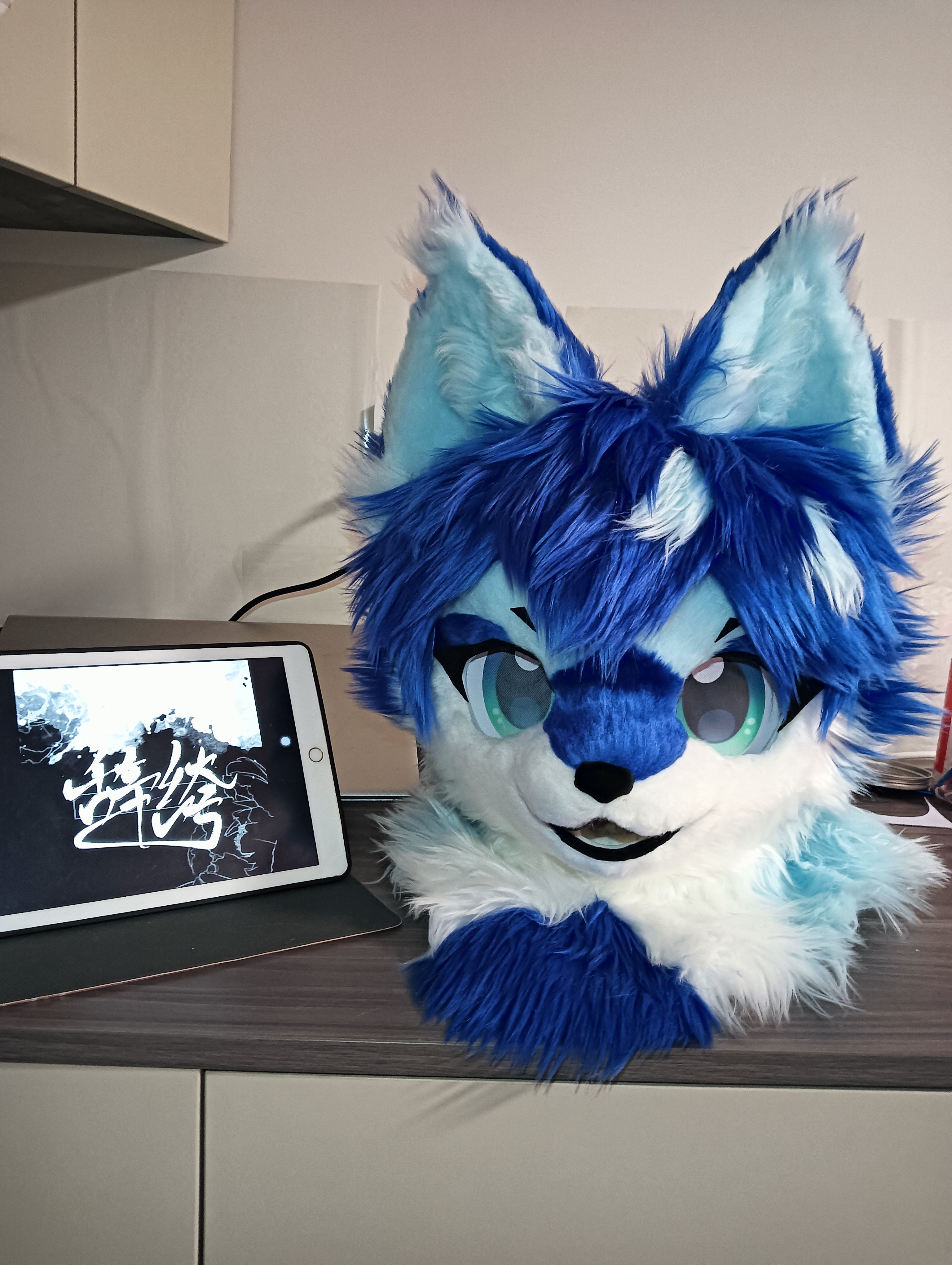 Light Blue Wolf Kemono Head Fursuit – Meow Fursuits